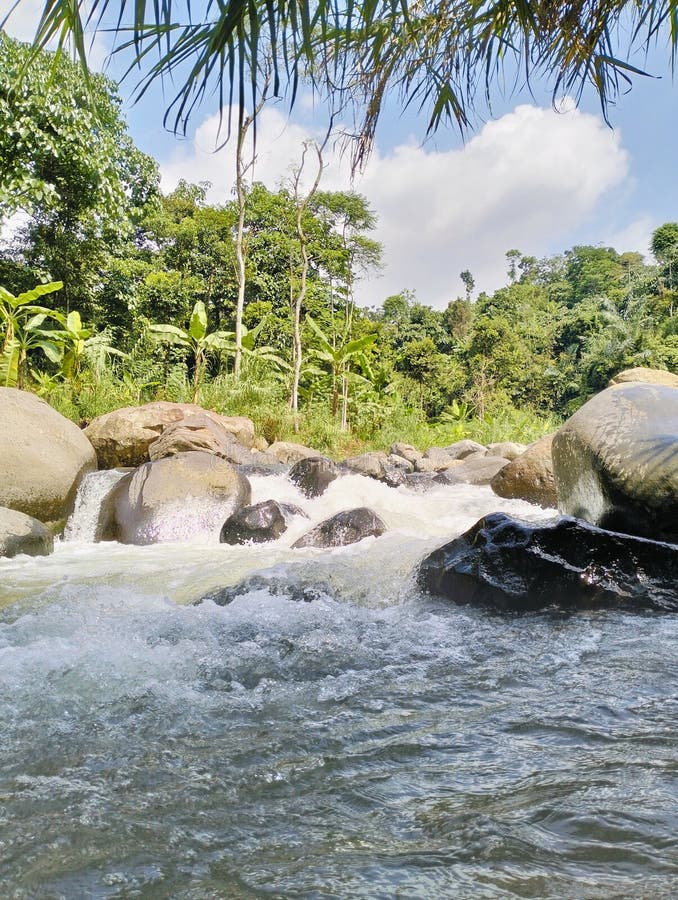 The River Flow is Used for Plantations and Rice Fields Stock Photo ...