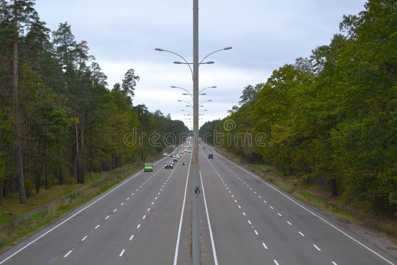 Big Road through a Big Forest Stock Photo - Image of asphalt, black ...
