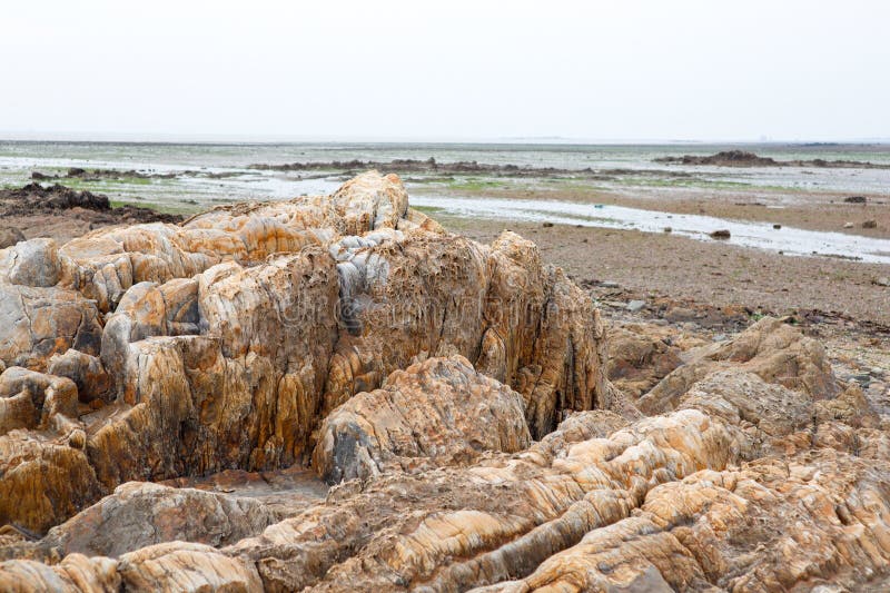 Big Rock on the Beach after Tide Time Stock Photo - Image of terrain ...