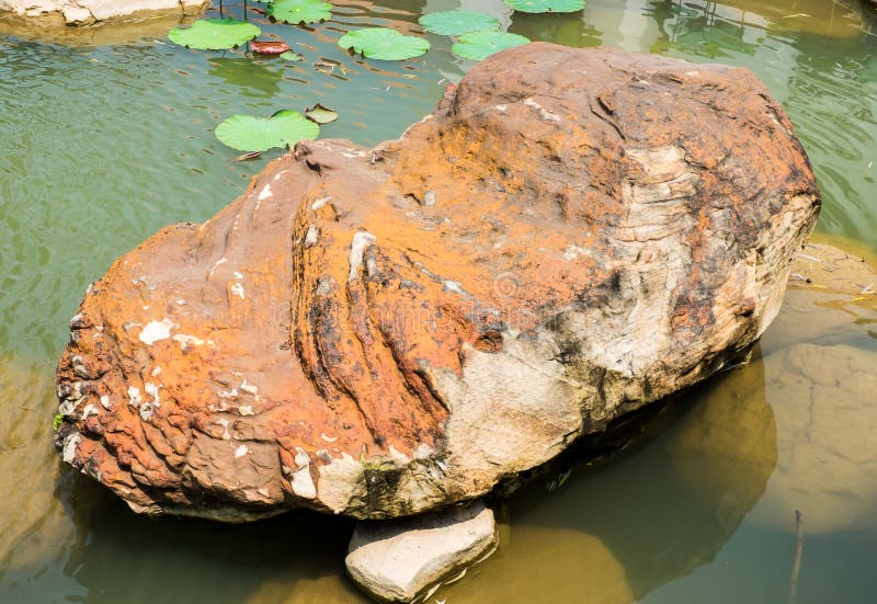 Big rock in Chinese garden stock photo. Image of pond - 57905752