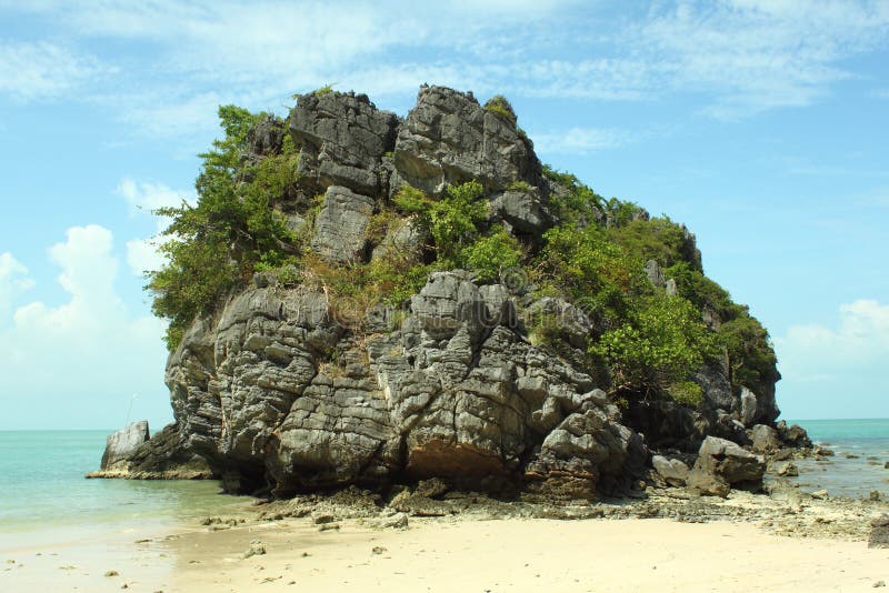 Big Rock Covered with Tropical Vegetation Amid Sea Stock Image - Image ...