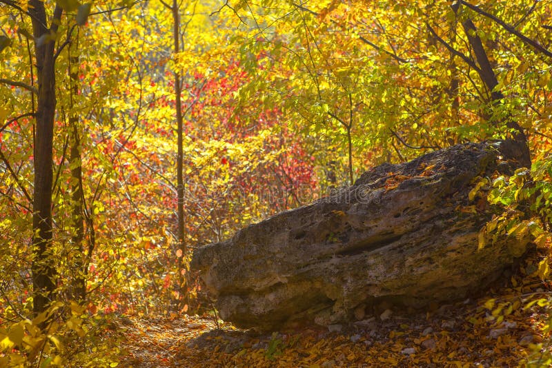 Big rock in the forest stock photo. Image of landscape - 129633810
