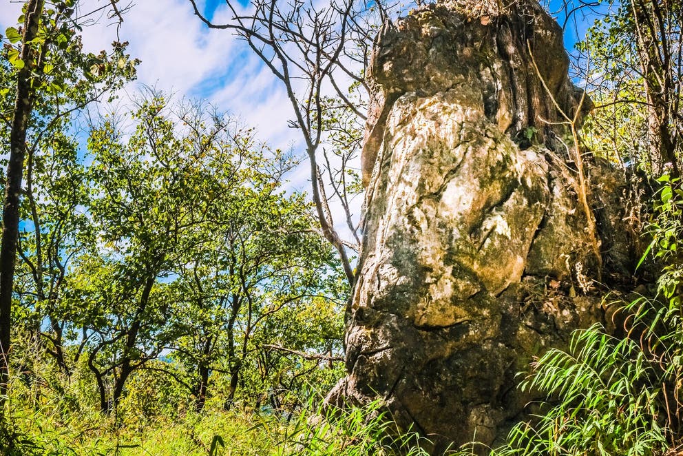 Big Rock in the Forest with Blue Sky Stock Photo - Image of adventure ...