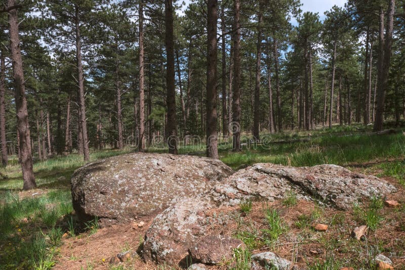 Big Rock in the Forest, City of Boulder Colorado USA Stock Photo ...