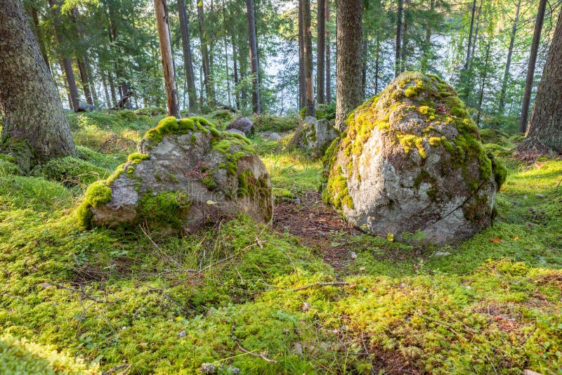 Big Rock in Forest Landscape Stock Image - Image of nature, tranquil ...