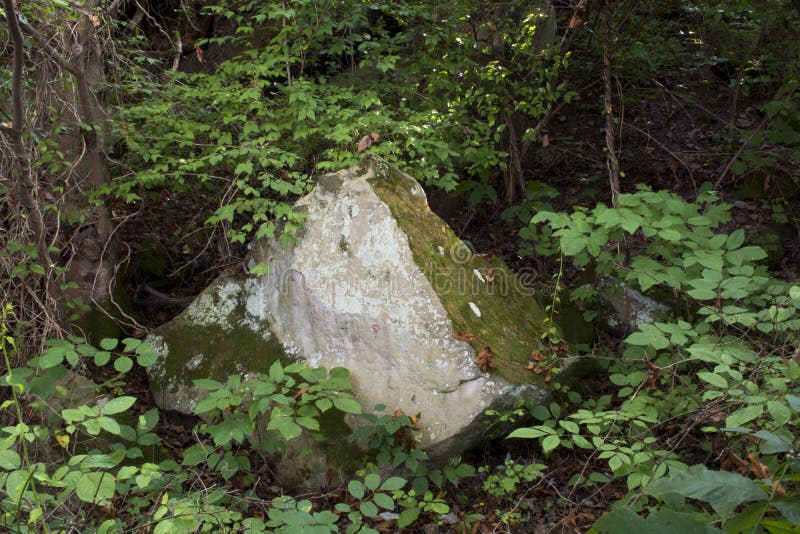 Big rock in forest stock image. Image of moss, leaves - 123239199