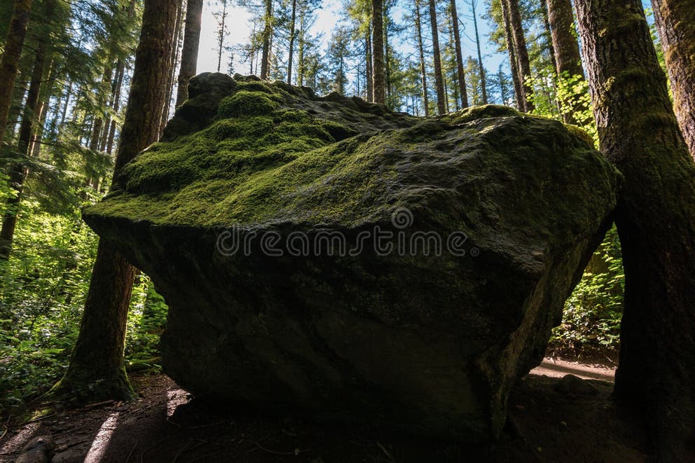 Big Rock in the Forest stock photo. Image of tree, forest - 326417376