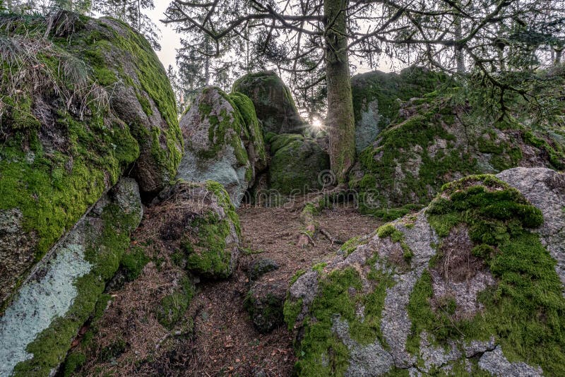Big Rock Formation Covered in Moss with Sun Rays through it in the ...