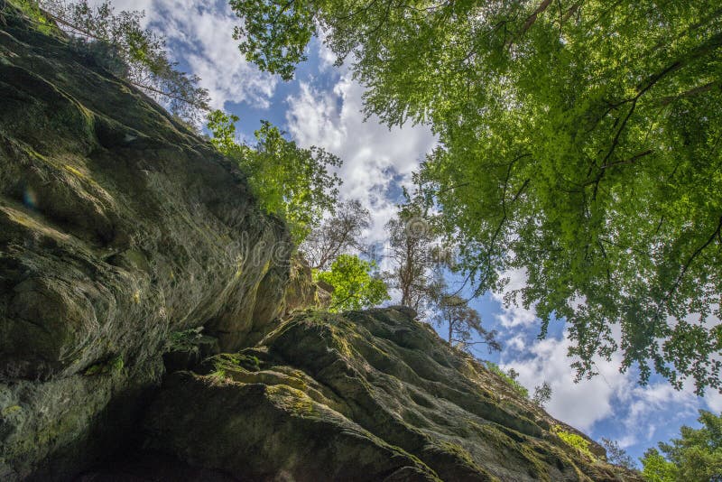 Big rock and green forest stock photo. Image of crust - 221370380