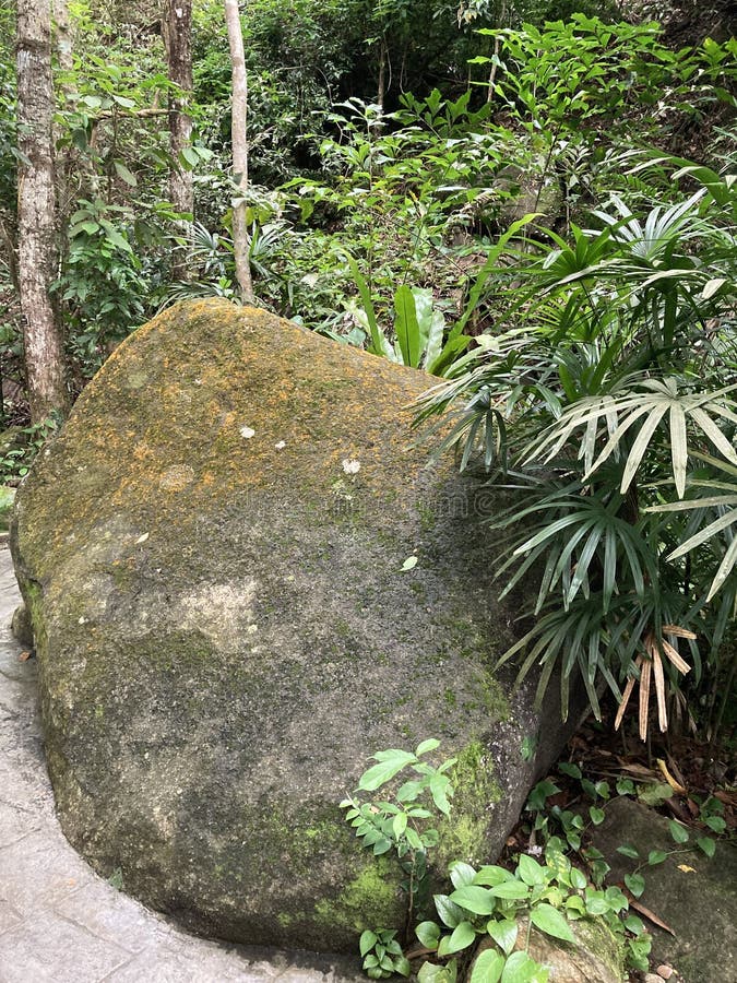 Big Rock in Jungle stock image. Image of rock, photographed - 218837829