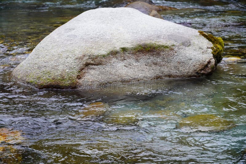 Big Rock in river image HD stock photo. Image of environment - 261059372