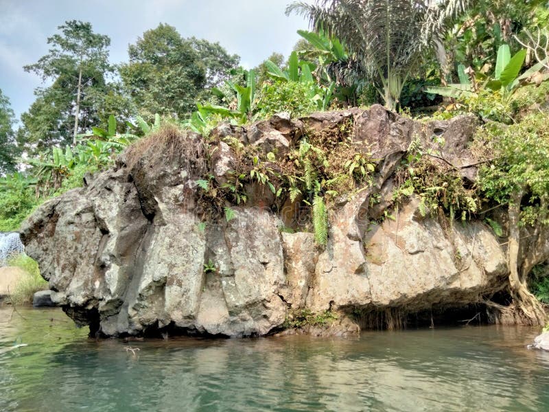 Big Rock in River of Sesaot Jungle in Lombok Stock Photo - Image of ...