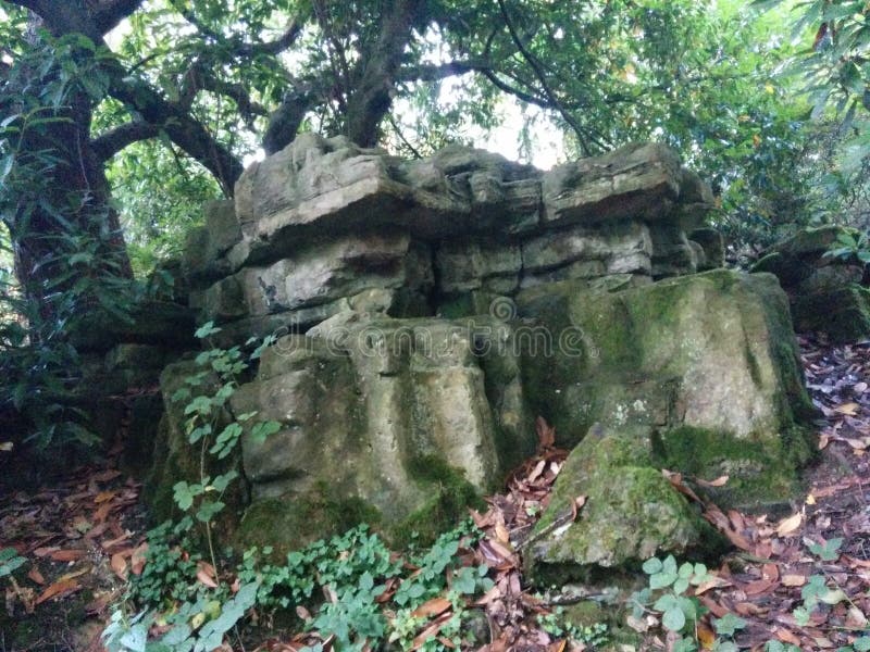 Big Rock s in Forrest stock image. Image of forrest, middle - 81657389