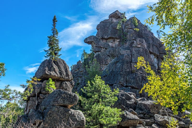 Big Rock in the Siberian Taiga Stock Photo - Image of tree, siberia ...
