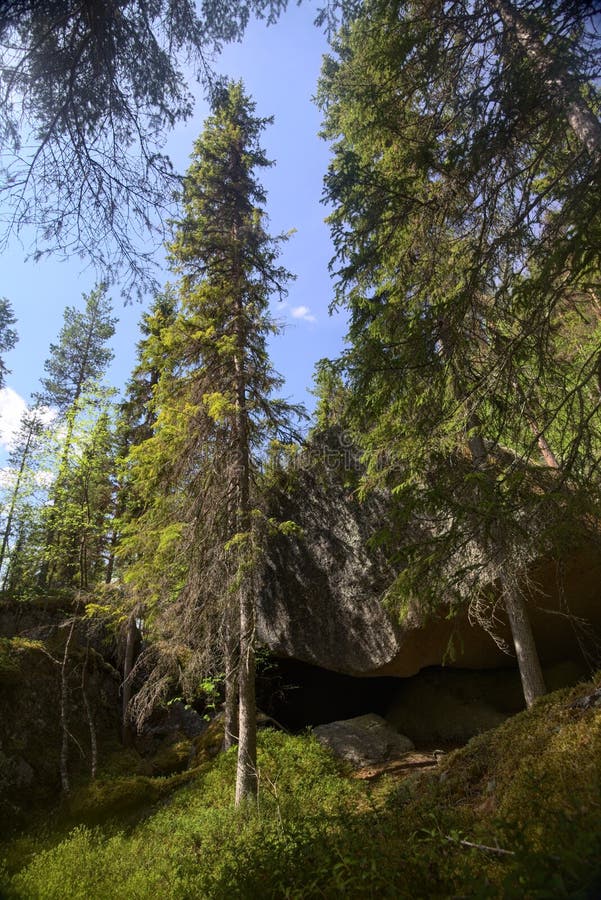 Big Rock in a Swedish Conifer Forest Stock Photo - Image of blue, green ...