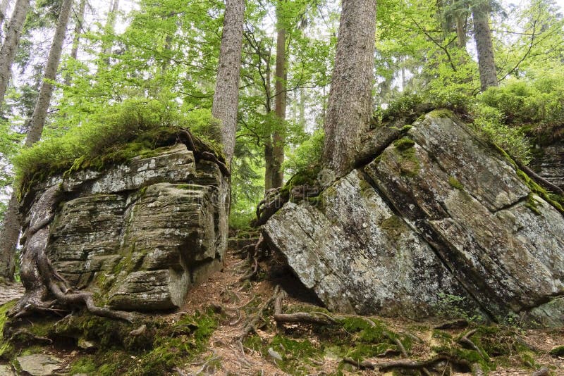 Big Rocks and Forest at the Arbersee, Germany Stock Image - Image of ...