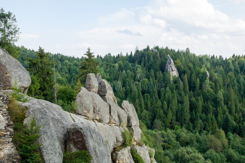 Big rocks among the forest stock image. Image of high - 104795479