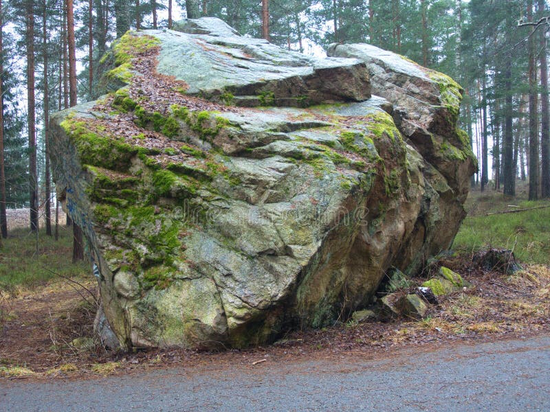 Big rocks in a forres. stock image. Image of foggy, grey - 175091927