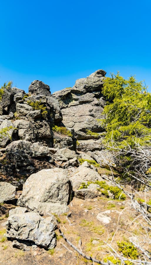 Big Rocks in Jizera Mountains with High Trees Around Stock Image ...