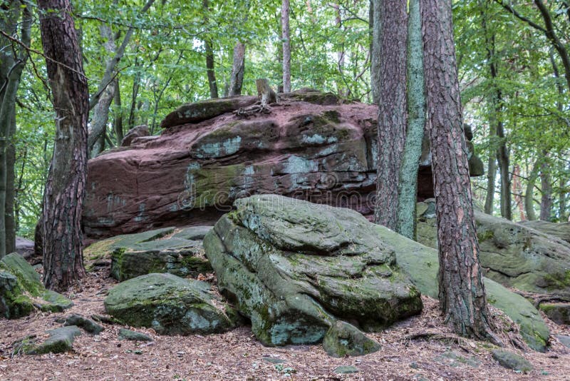 Big Rocks in the Middle of the Green Forest Stock Photo - Image of ...
