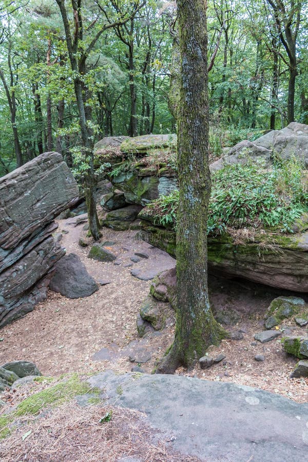 Big Rocks in the Middle of the Green Forest Stock Photo - Image of ...