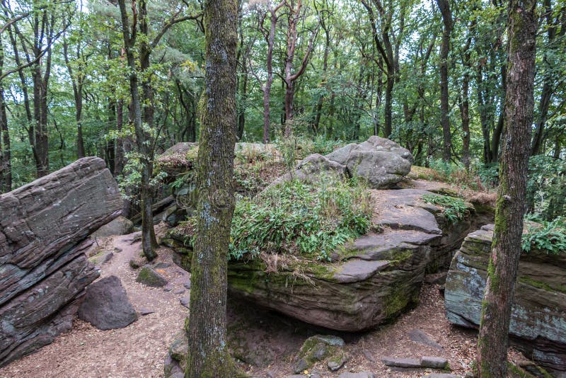 Big Rocks in the Middle of the Green Forest Stock Photo - Image of ...