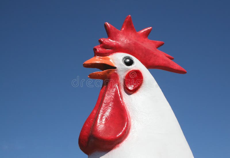 Big Rooster stock photo. Image of rooster, fowl, large - 5689272