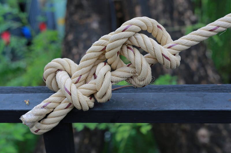 Big rope tied knot at wood stock photo. Image of cord - 294471428