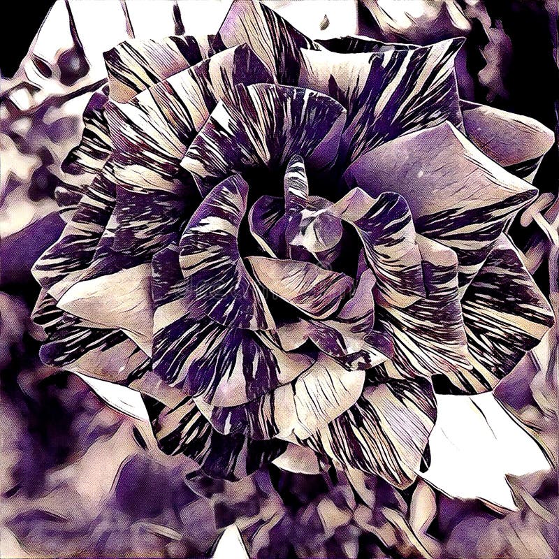 Big Rose for Women`s Day and Romantic Design Stock Illustration ...