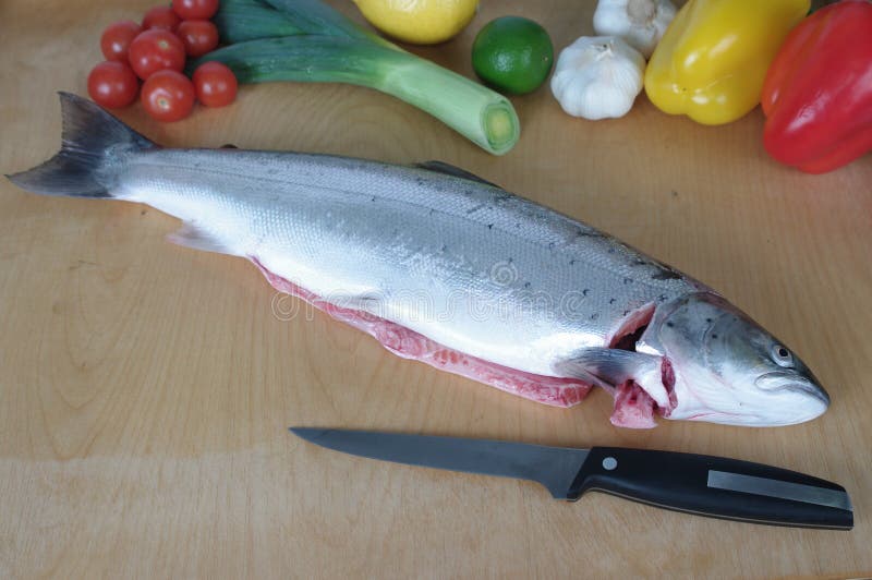 Big salmon stock image. Image of trout, fish, prepared - 23596997