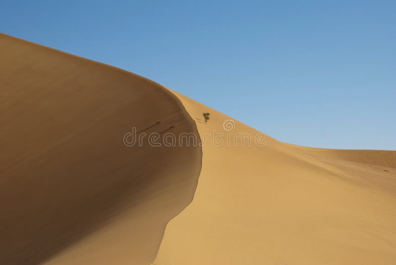 A big sandy dune stock photo. Image of landscape, sandy - 22724862