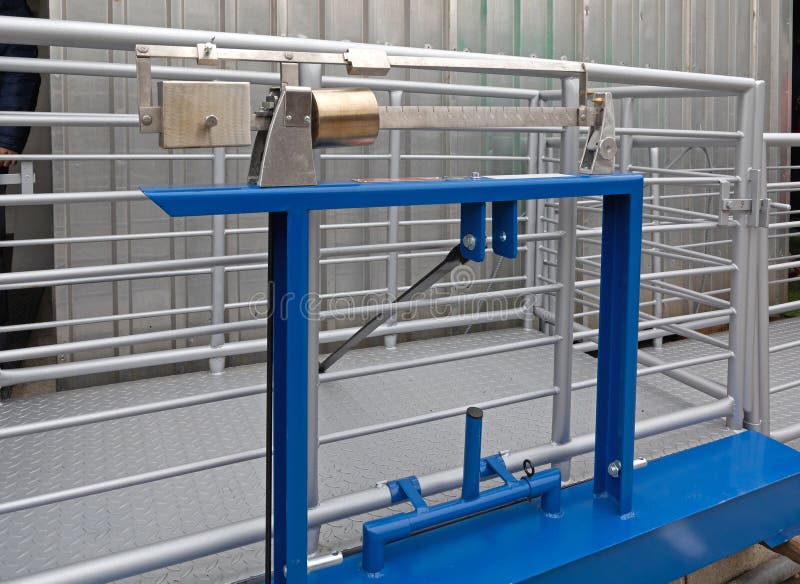 337 Farm Weight Scale Stock Photos - Free & Royalty-Free Stock Photos ...