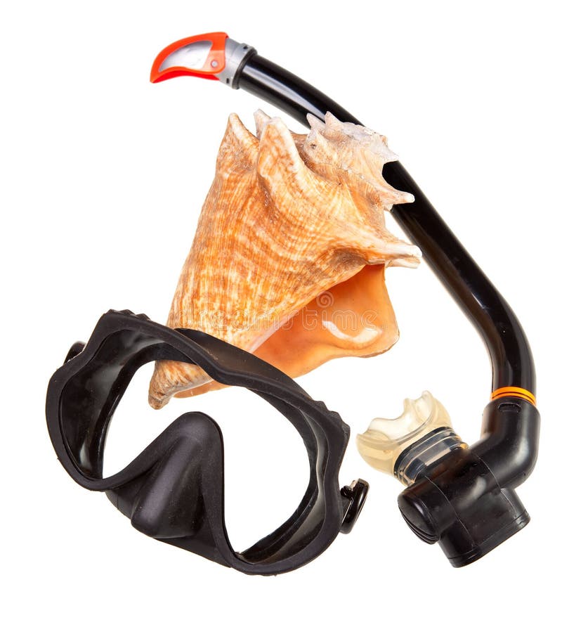 Big Sea Shell and Equipment for Diving (snorkel) Stock Photo - Image of ...