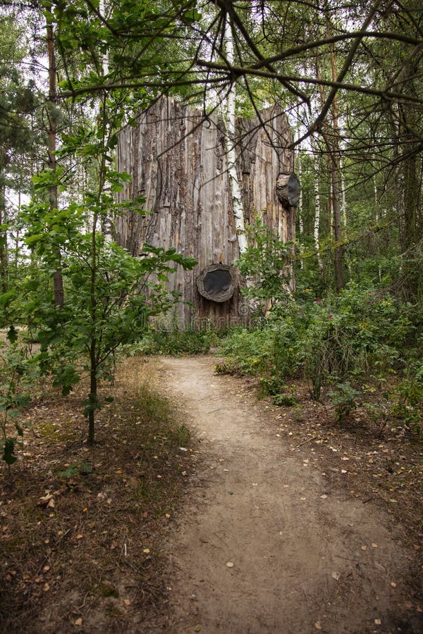 Big Secret Tree in the Middle of the Forest Stock Photo - Image of path ...