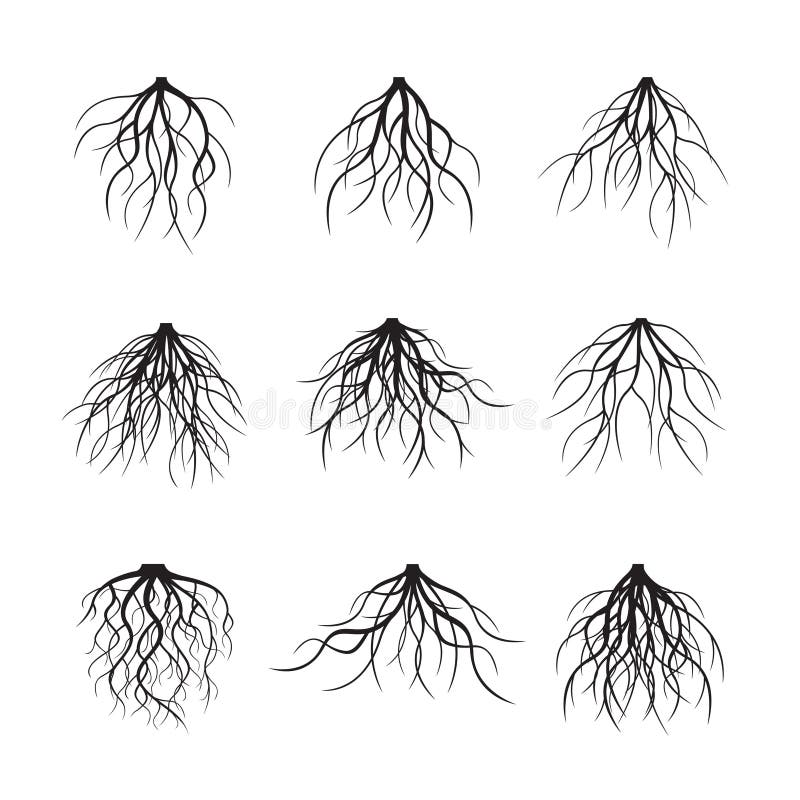 Black Roots Stock Illustrations – 4,777 Black Roots Stock Illustrations ...