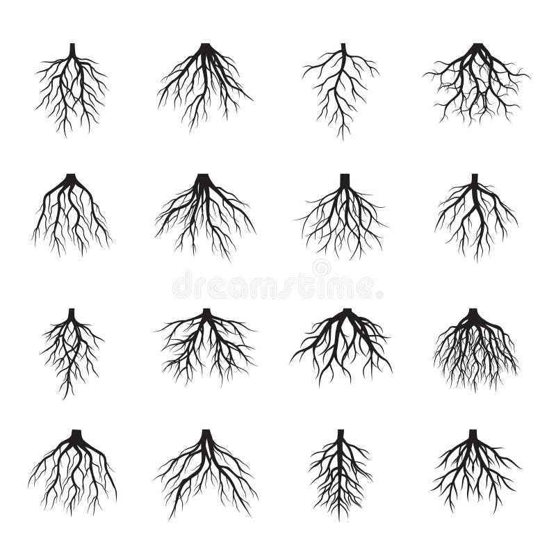 Big Set of Black Roots Tree. Vector Illustration. Stock Vector ...