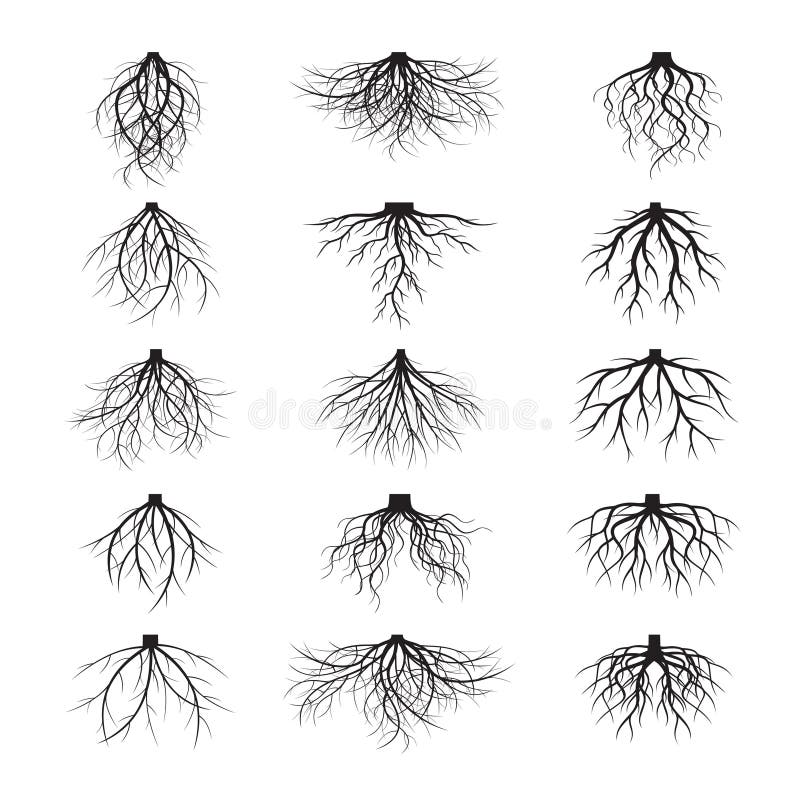 Big Set of Black Roots. stock vector. Illustration of collection - 87762926