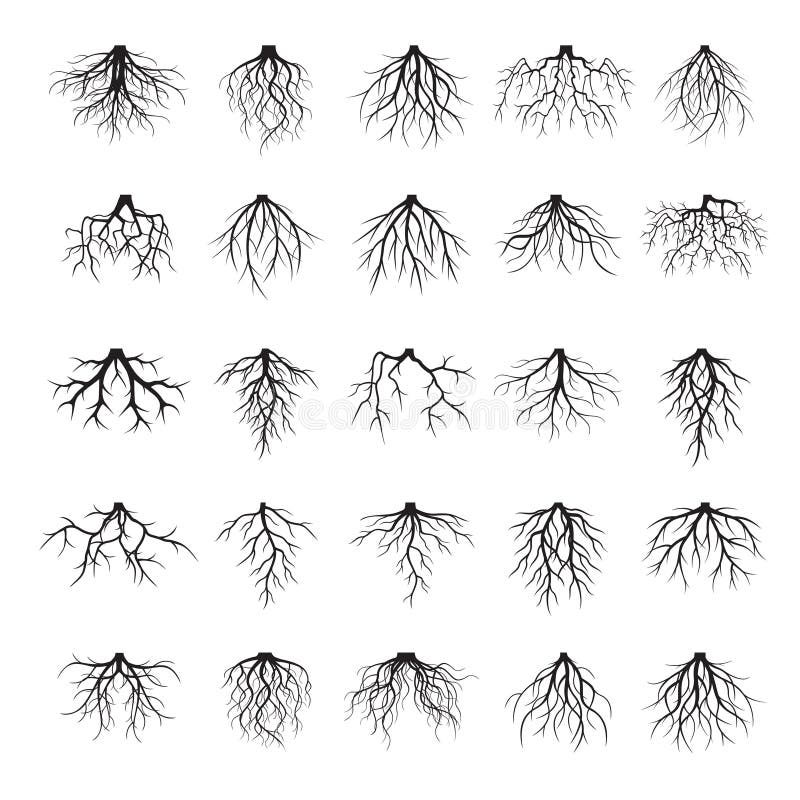 Big Set of Black Roots. Vector Illustration. Stock Illustration ...