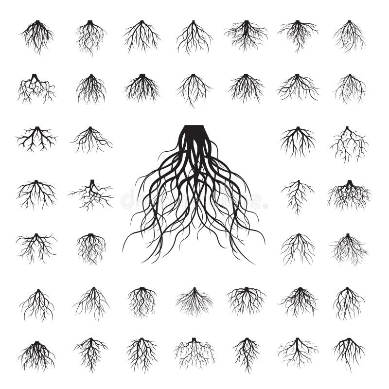 Big Set of Black Roots. Vector Illustration. Stock Illustration ...