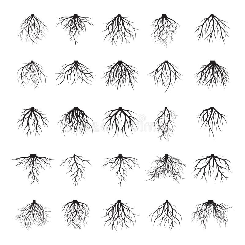 Big Set of Black Roots. Vector Illustration. Stock Illustration ...