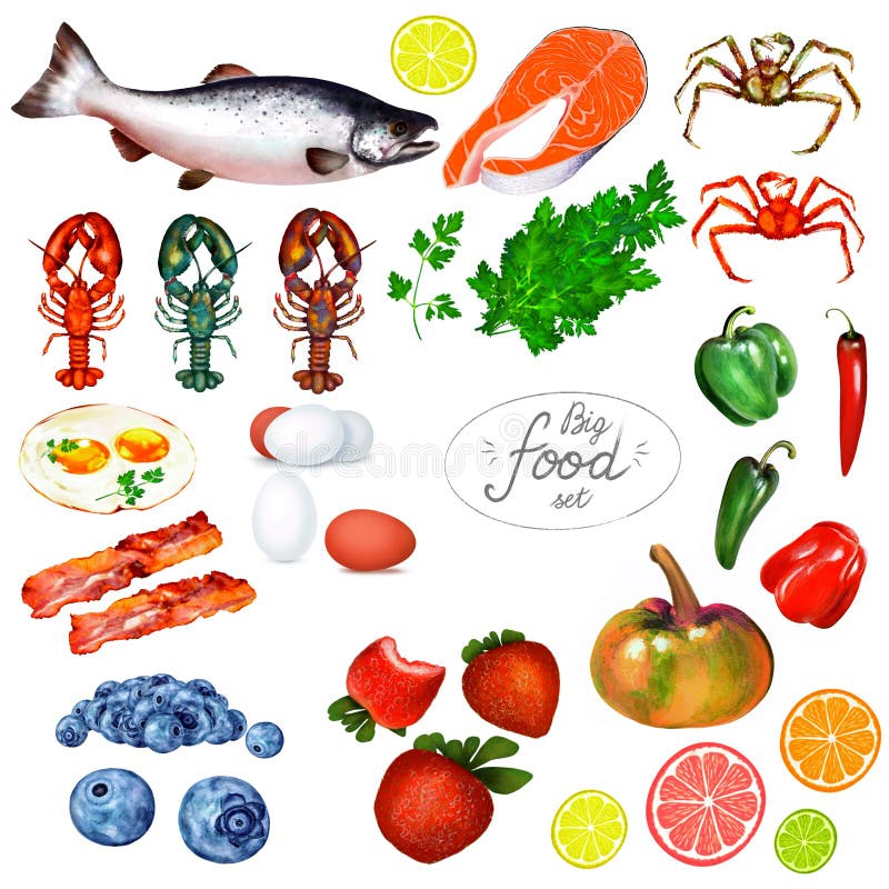 Big Set Collection of Different Healthy Food Elements Stock ...