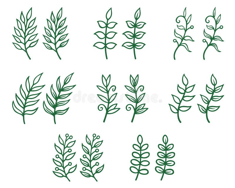 Big Set of Different Outline Leaves. Collection of Flora. Botanical ...