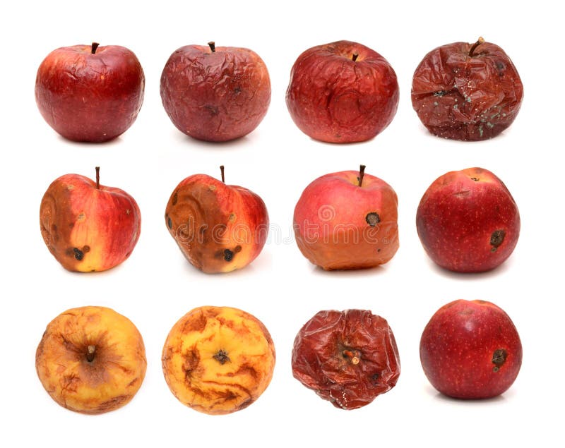 Red Rotten Apple, Natural Color and Texture. Stock Image - Image of ...
