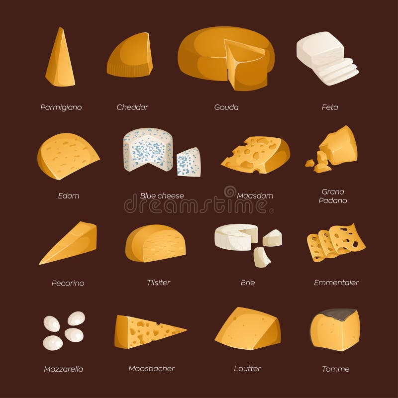 Big Set of Different Types of Cheeses with Names. Vector Illustration ...