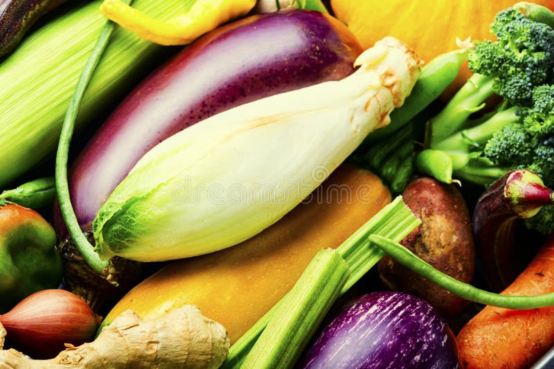 Big Set of Fresh Vegetables Stock Image - Image of fresh, cabbage ...