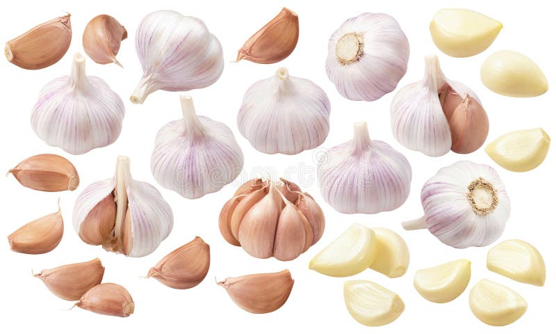 Big Set of Garlic. Bulbs, Heads, Cloves, Segments Isolated on White ...
