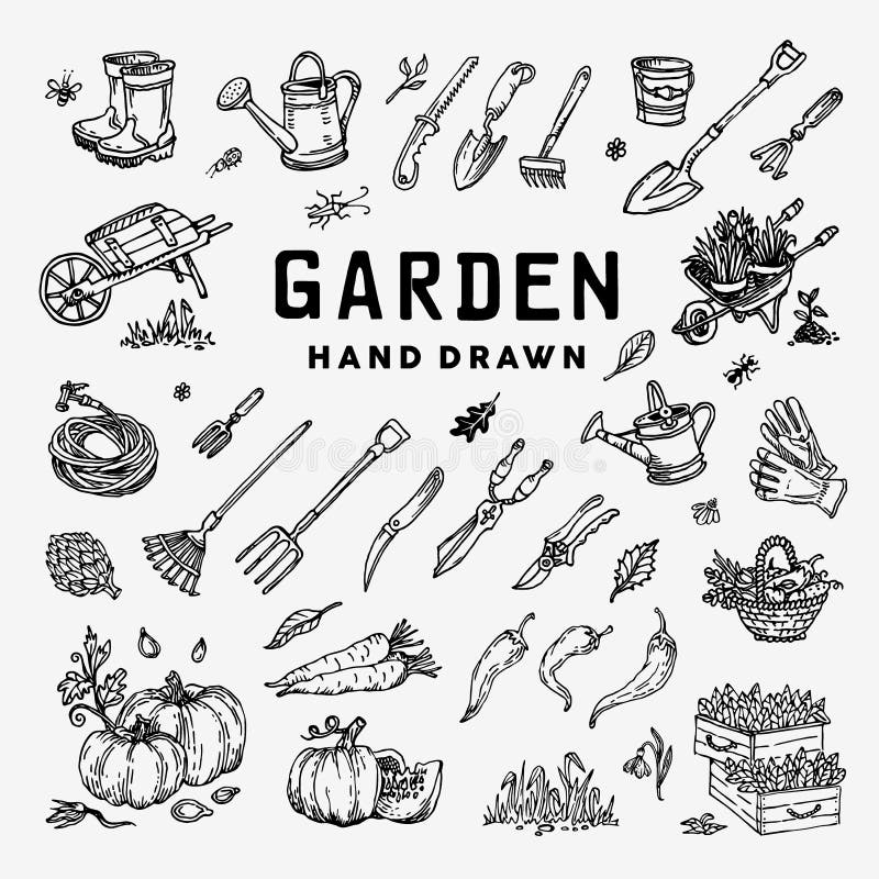 Big Hand Drawn Garden Plants Set. Elements of Landscape Design Stock ...