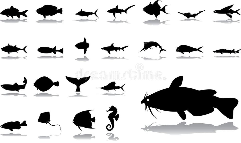 Big set icons - 4. Fish stock vector. Illustration of saltwater - 6160754