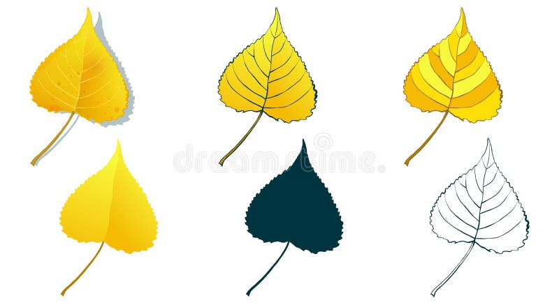 Big Set of Vector Fall Tree Leaf Shapes Drawing in Different Styles ...