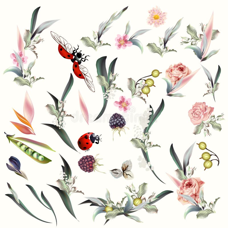 Big Set of Vector Floral Elements and Flowers Stock Vector ... Big Set of Vector Floral Elements and Flowers Stock Vector ...